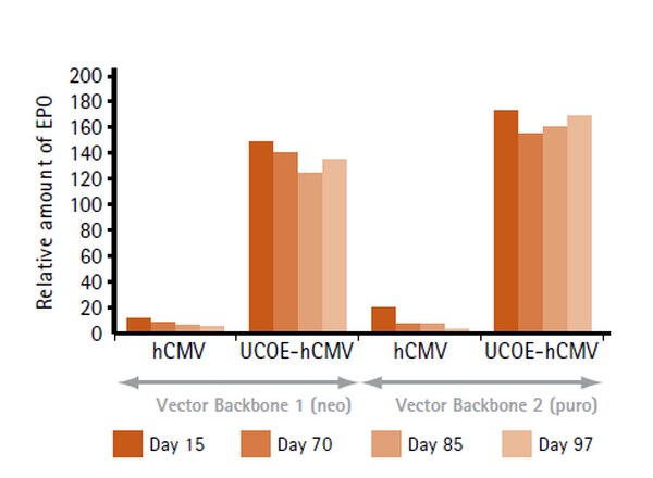 UCOE® Expression Vector - Human 4kb Puro Set - Novagen | 504867